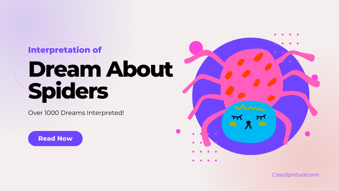Interpretation Of Dream About Spiders - Casa Spiritual